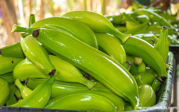 Nosotros • Agrolatina - Agro Comercial Latina SAS